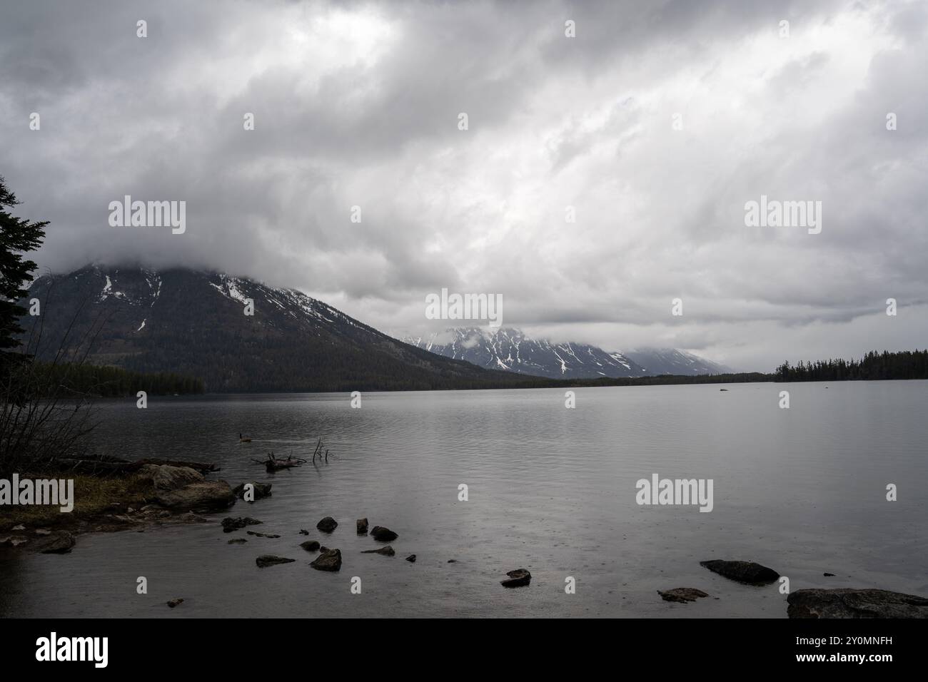 A beautiful view of Leigh Lake with the Grand Teton mountains in the ...