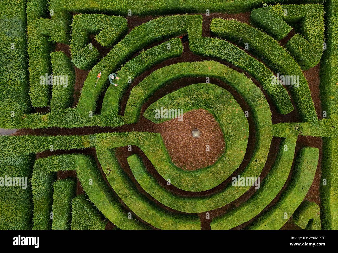 A gardener at Hever Castle tends to the bushes of the historic 120-year ...