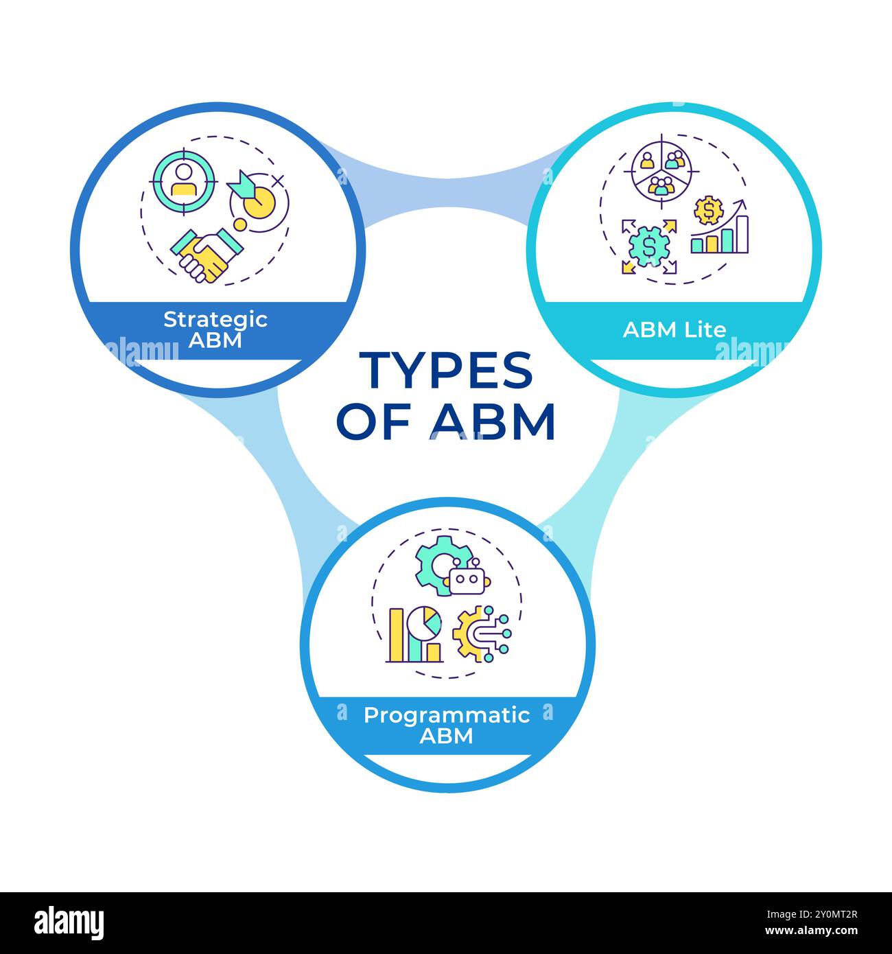 Main types of abm infographic circles flowchart Stock Vector Image ...