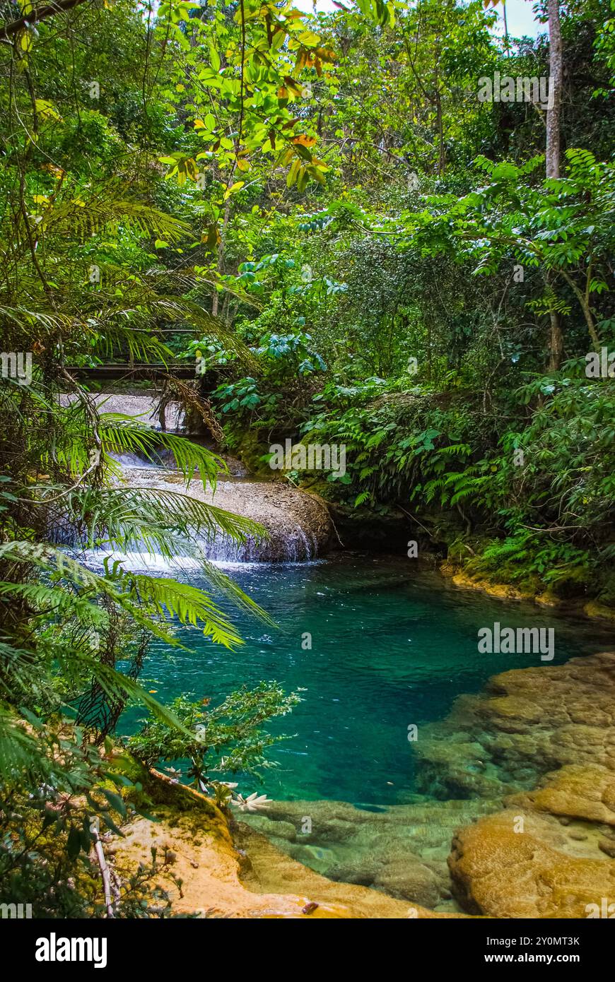 Sendero reino de las aguas waterfall in mountain park on Cuba Stock ...
