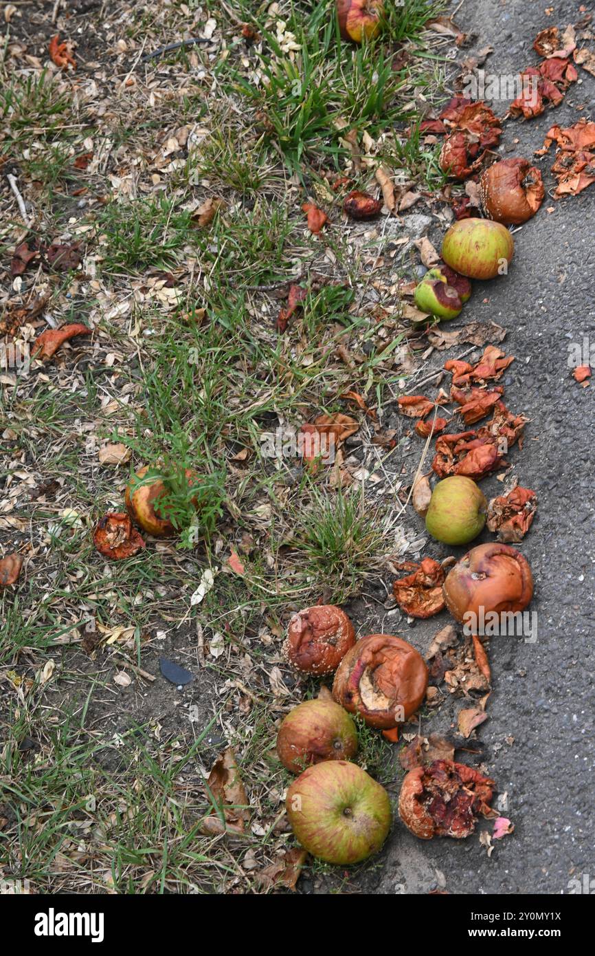 Vertical high angle fallen hi-res stock photography and images - Alamy