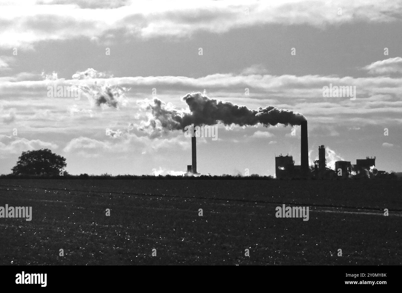 Food manufacturing east anglia hi-res stock photography and images - Alamy