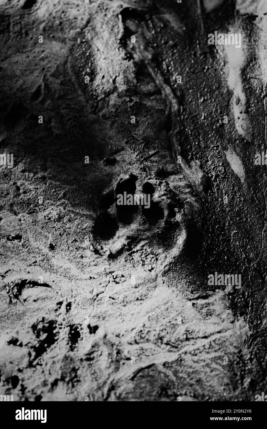 Background followed Black and White Stock Photos & Images - Alamy