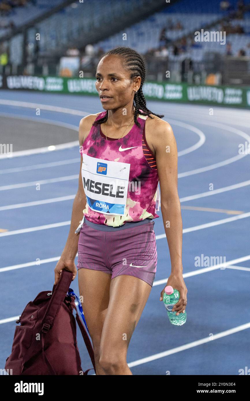 Worknesh Mesele (Ethiopia), 1500m women, Golden Gala Pietro Mennea Diamond League Athletics 2024 ...