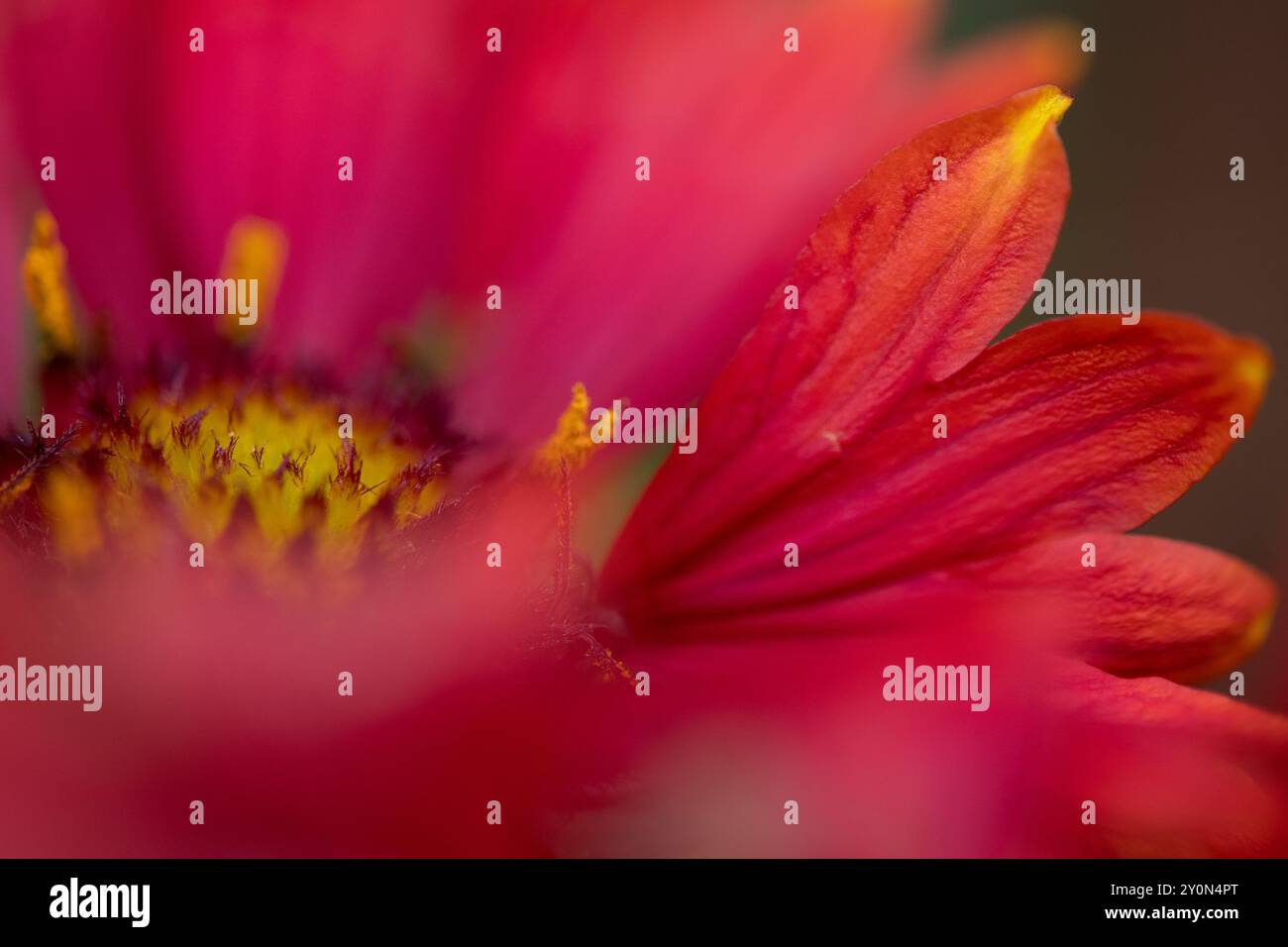 Selective abstraction hi-res stock photography and images - Alamy