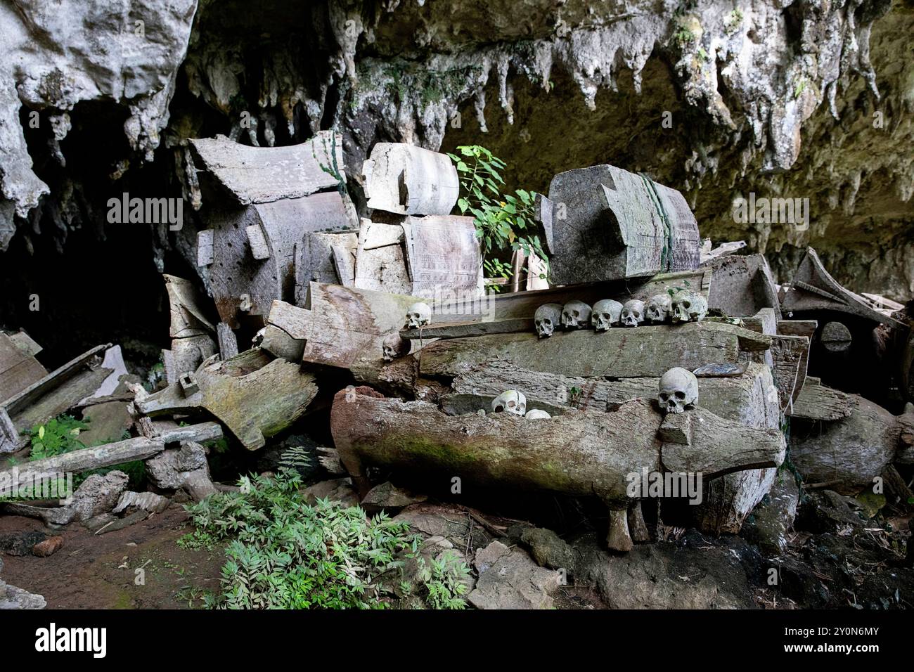 The historical burial site of Lombok Parinding in Tana Toraja, human ...