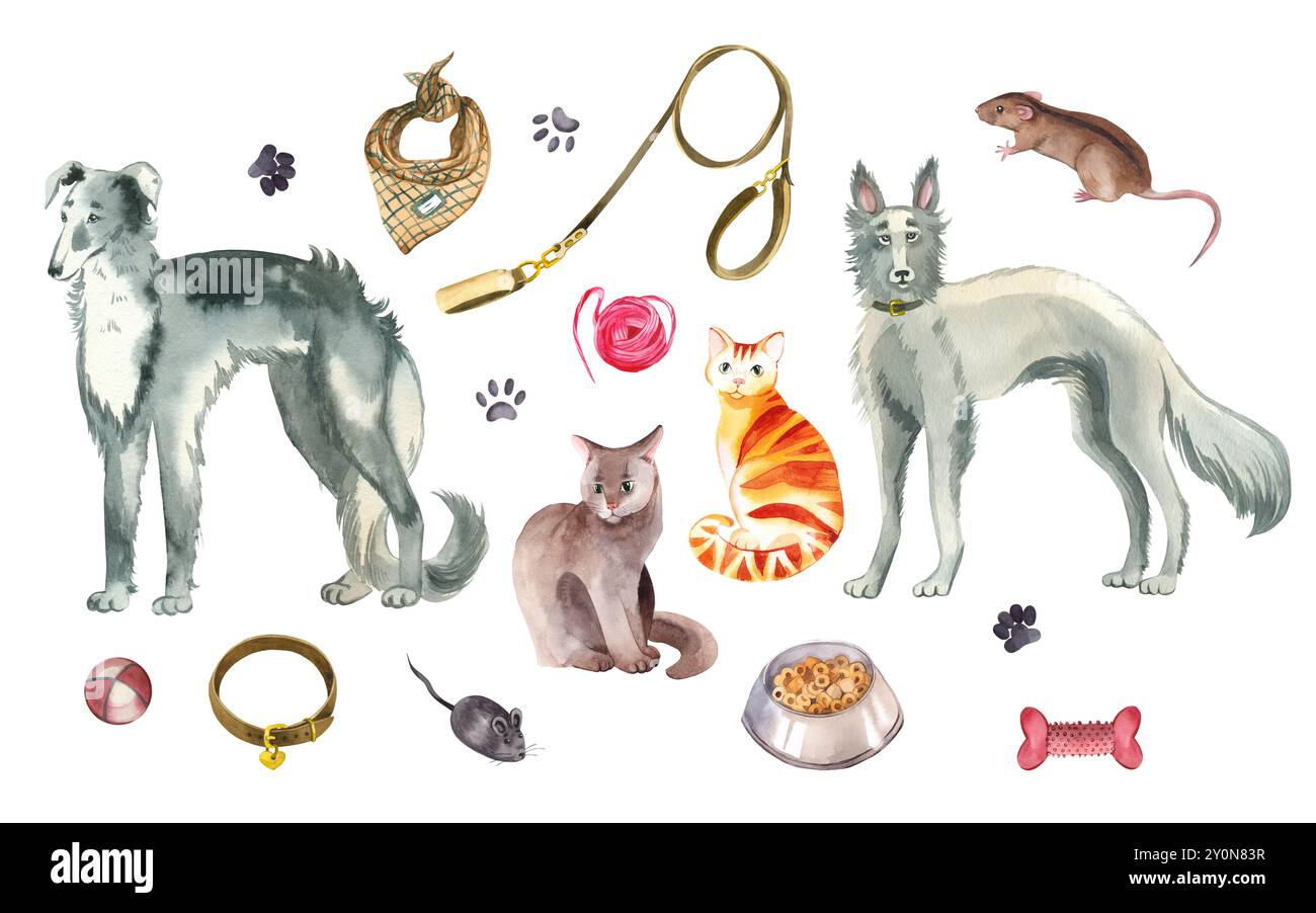 A set of watercolor illustrations. Pets, dogs of different breeds, cats ...