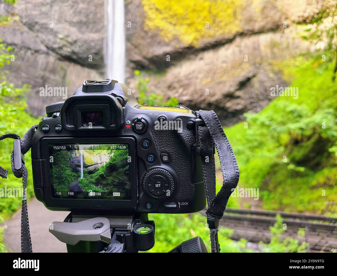 Eye level perspective capturing hi-res stock photography and images - Alamy