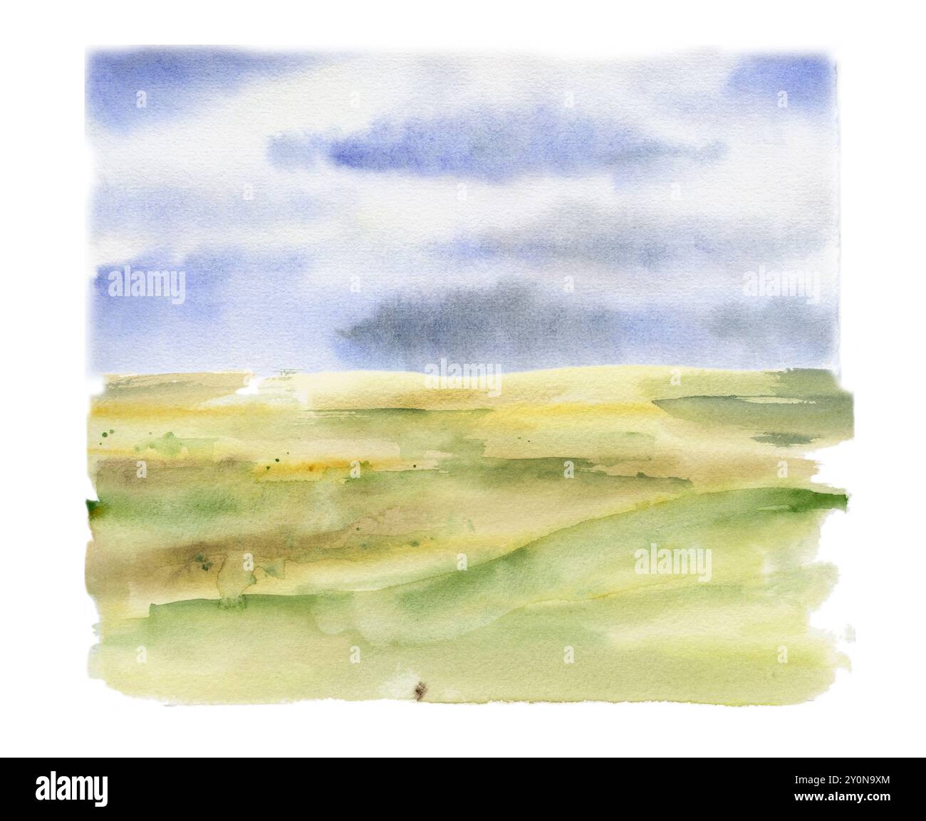 Scenery landscape, cloudy blue sky, green meadow field moorland pasture ...