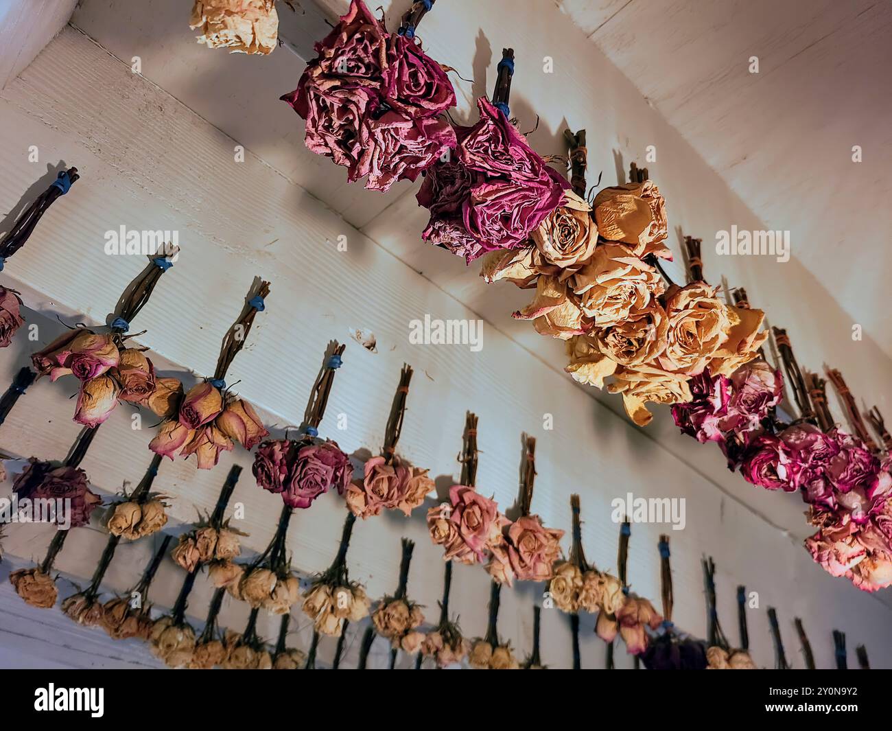 Oregon horizontal hanging hi-res stock photography and images - Alamy