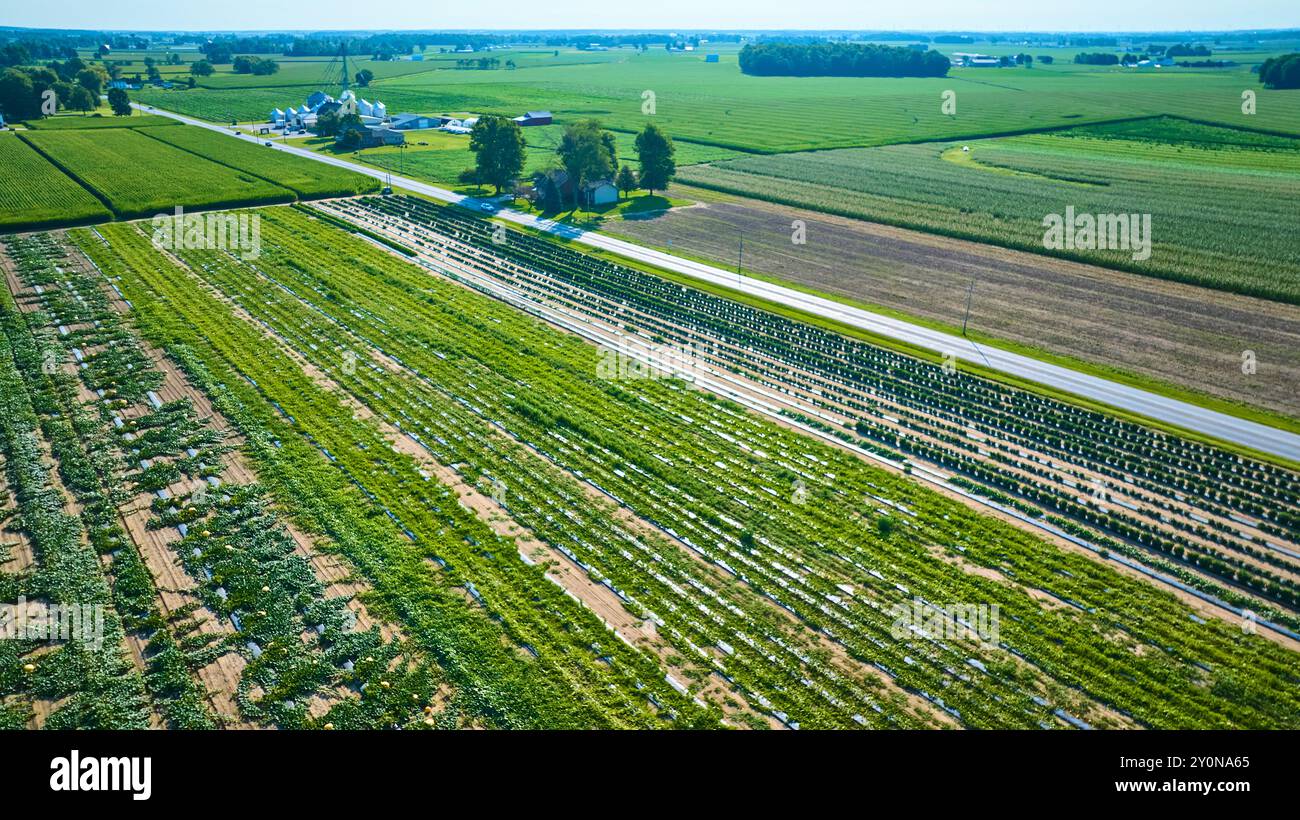 Aerial View of Sprawling Farmland with Crops and Farm Buildings Stock ...