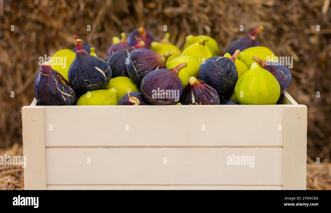 Haul of figs hi-res stock photography and images - Alamy