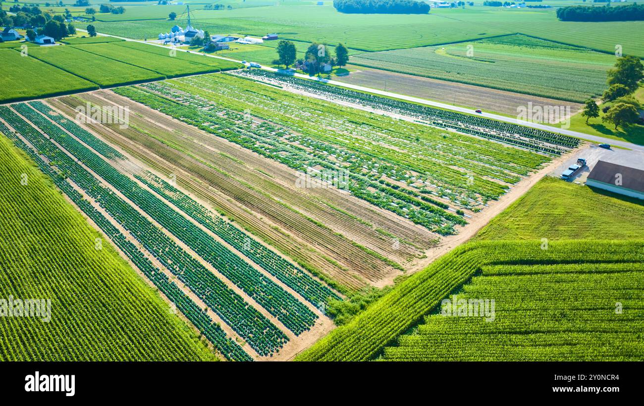 Aerial View of Organized Agricultural Fields in Rural Indiana Stock ...