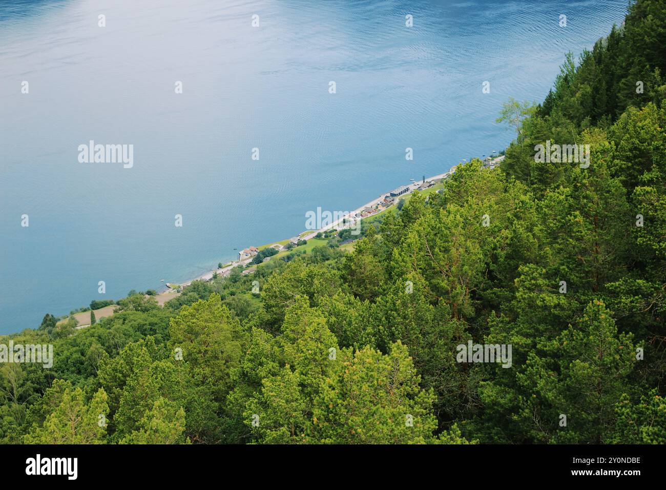 Aerial view of a lush green hillside overlooking a tranquil blue lake ...
