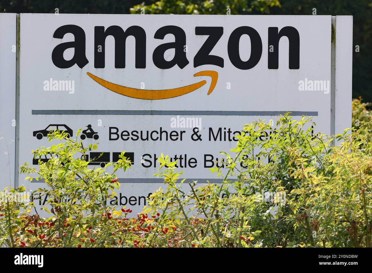 Symbolfoto, Amazon Icon, Logo, *** Symbol photo, Amazon icon, logo ...