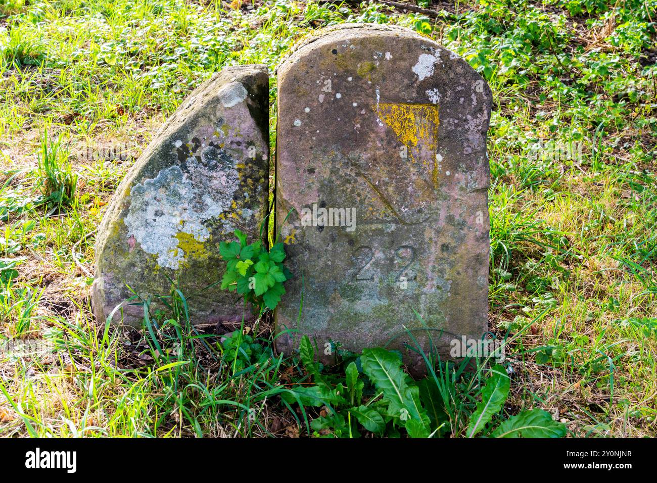 The boundary stone no. 22 at a historical place. Lange Erlen park ...