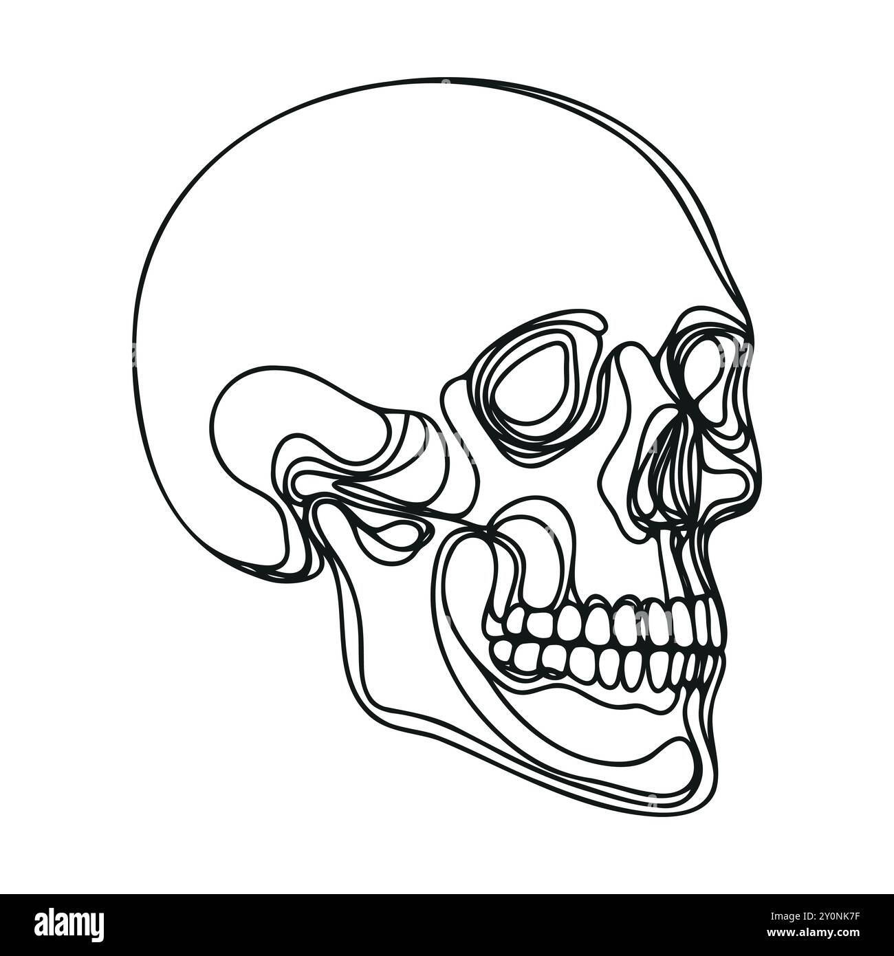 Human scull. One line continuous Halloween skull isolated on white ...
