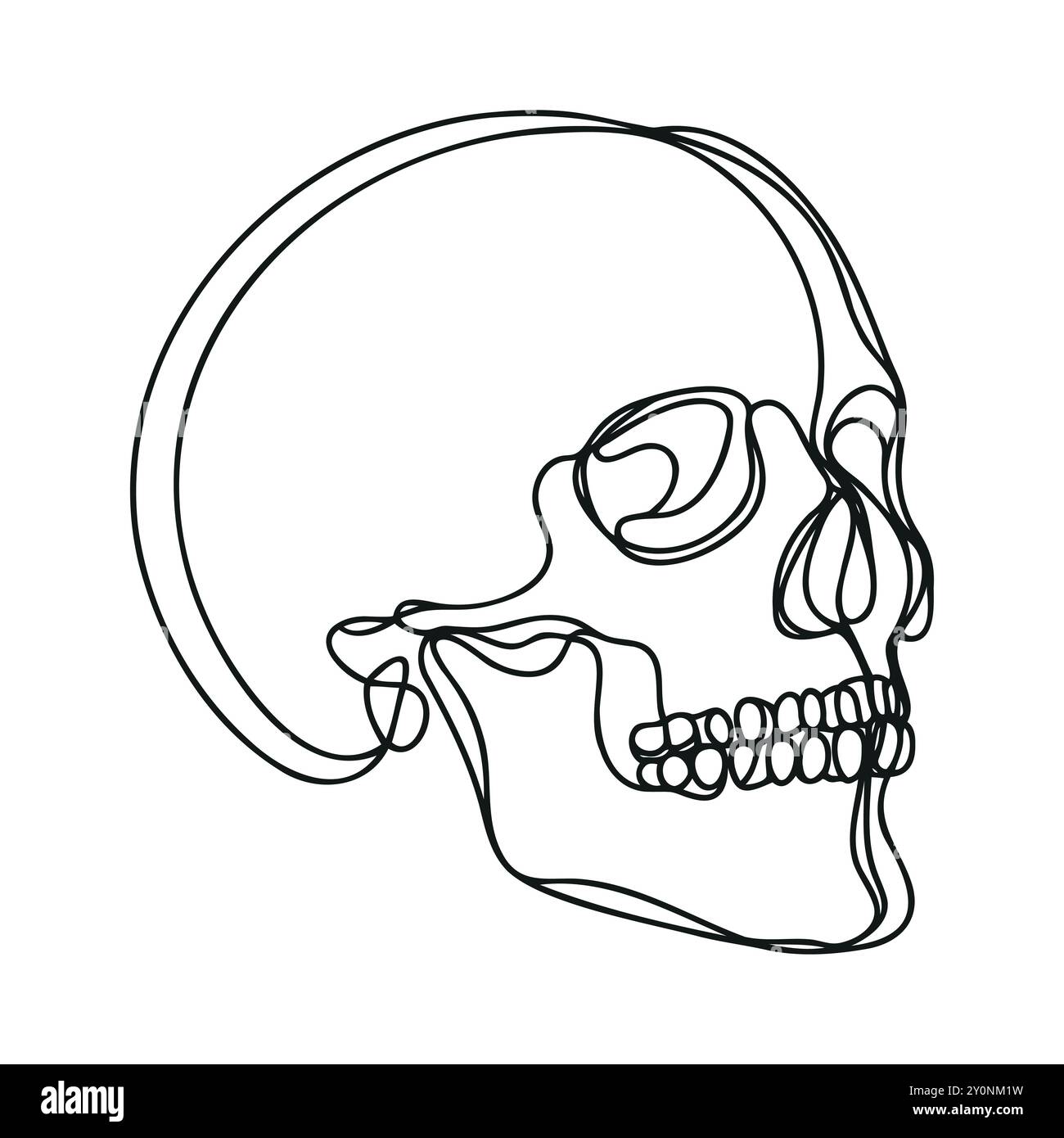 Human scull. One line continuous Halloween skull isolated on white ...