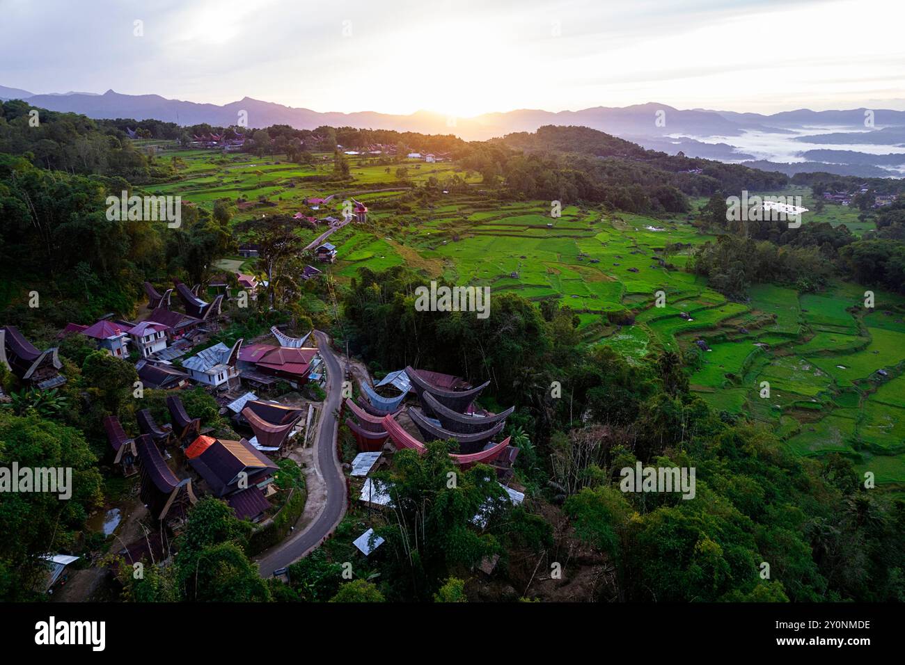 Batutumonga rice paddies hi-res stock photography and images - Alamy