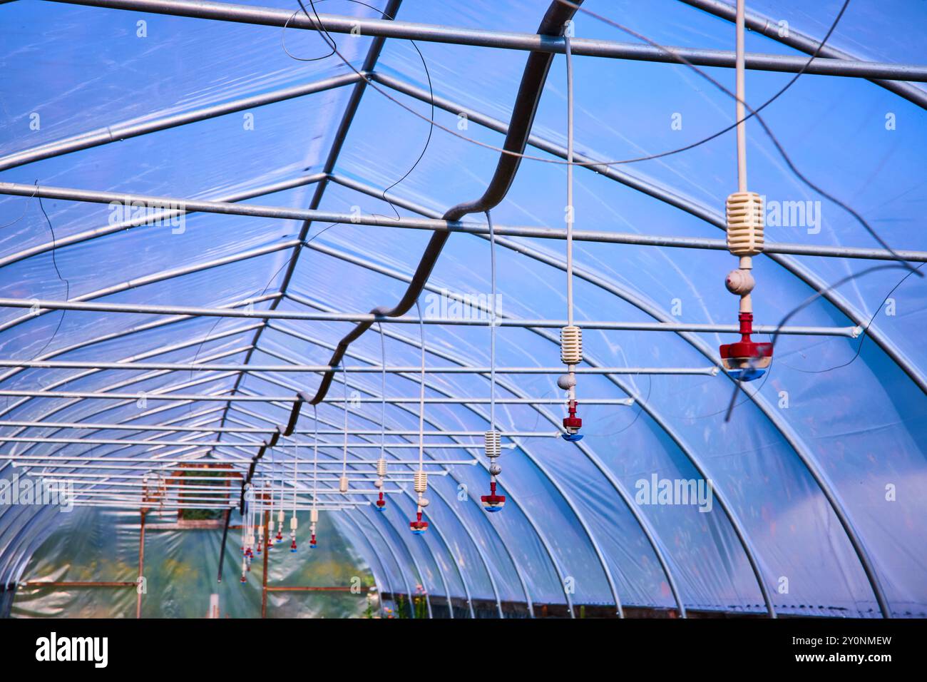 Modern Greenhouse Irrigation System with Daylight Perspective Stock ...
