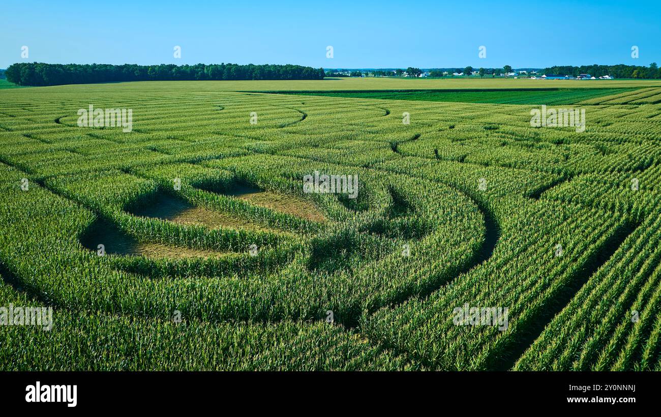 Aerial View of Corn Maze in Expansive Cornfield Stock Photo - Alamy