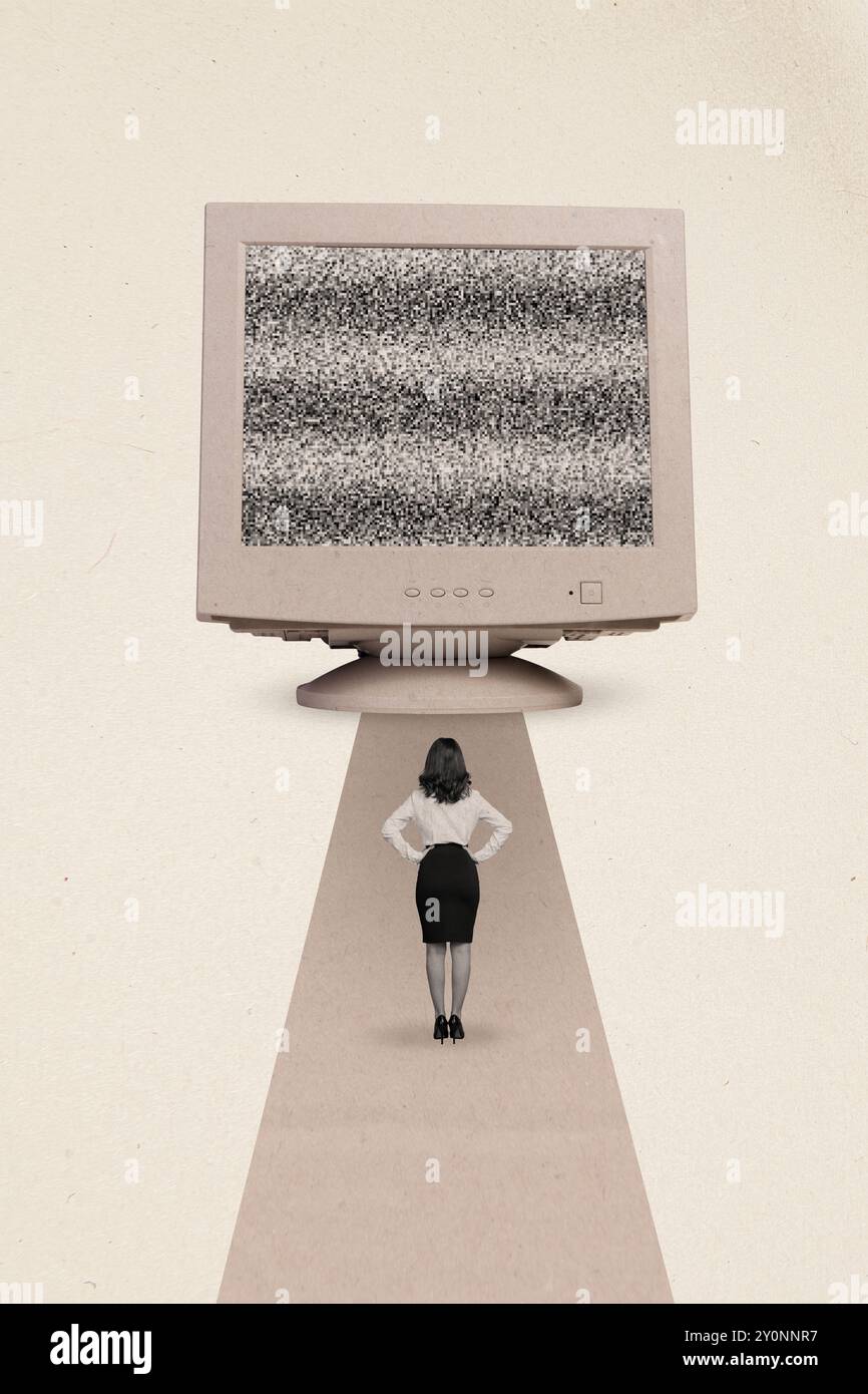 Creative trend collage of little female computer monitor white noise ...