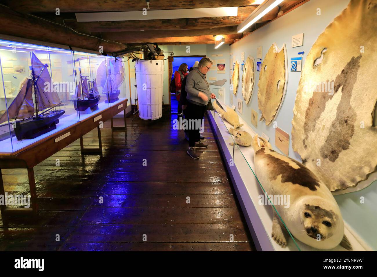 The Polar Museum or Polarmuseet, Tromso city, Northern Norway Stock ...