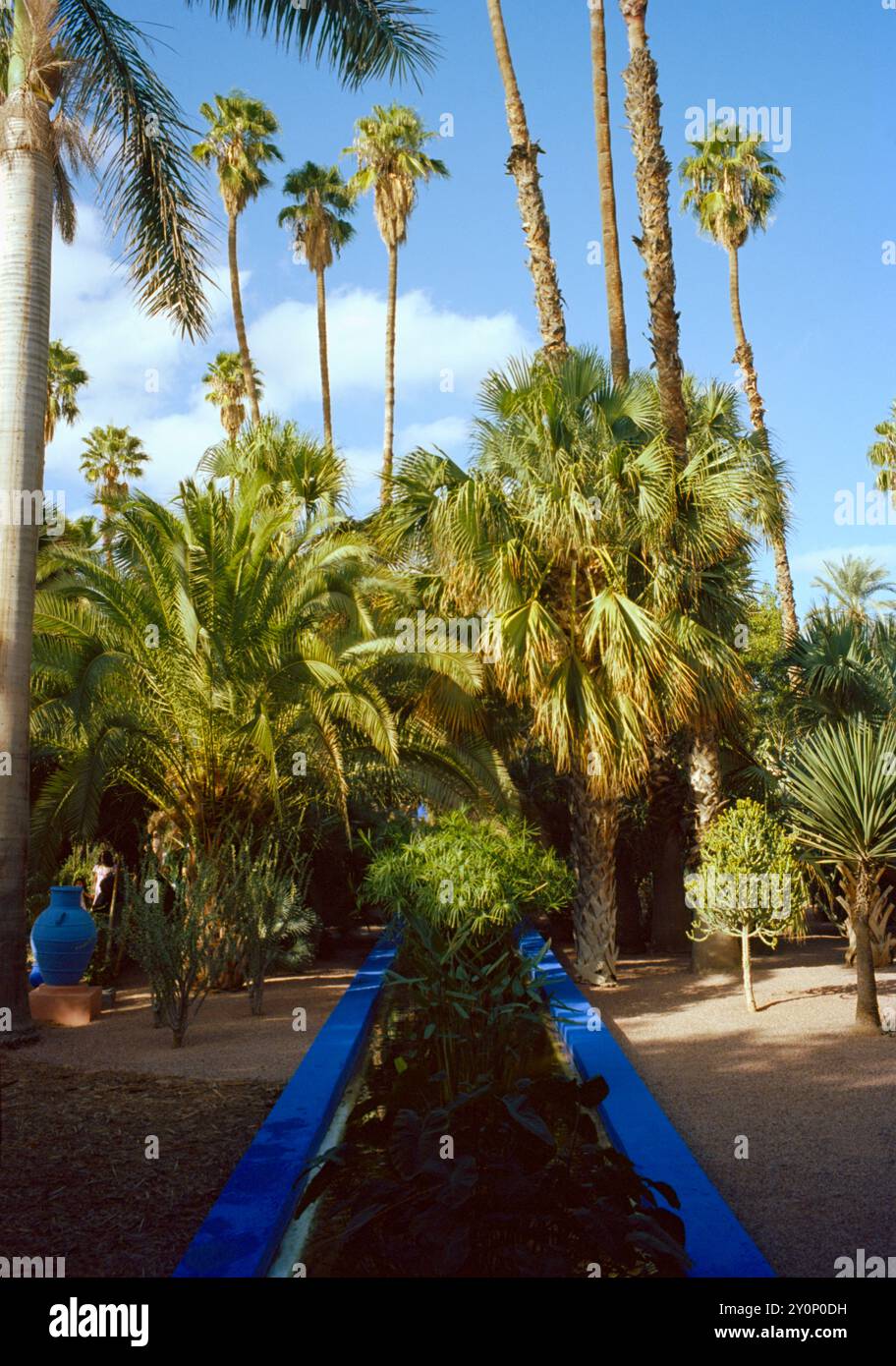 The house and garden of Yves Saint Laurent. The Majorelle Garden in ...