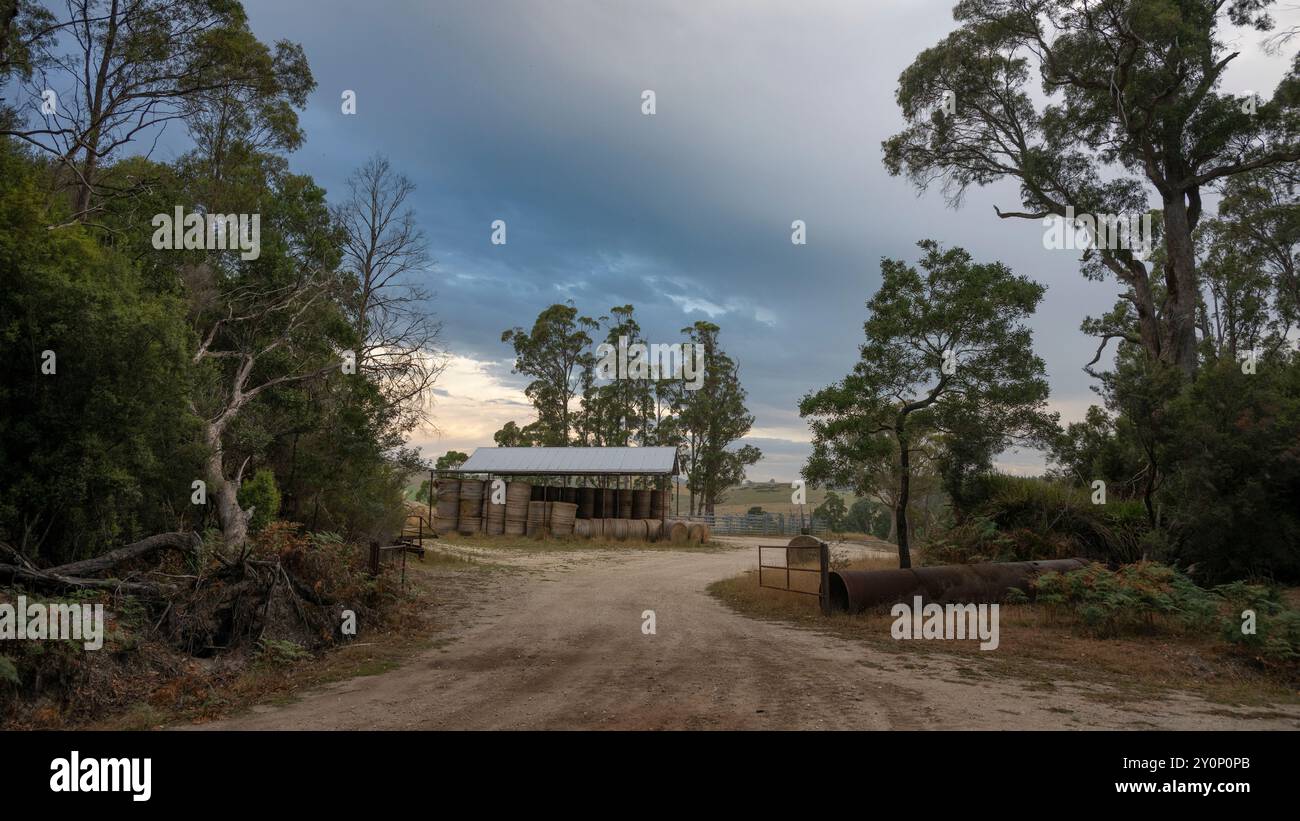Hay shed on farmland in the rural landscape of Winnaleah in north east ...
