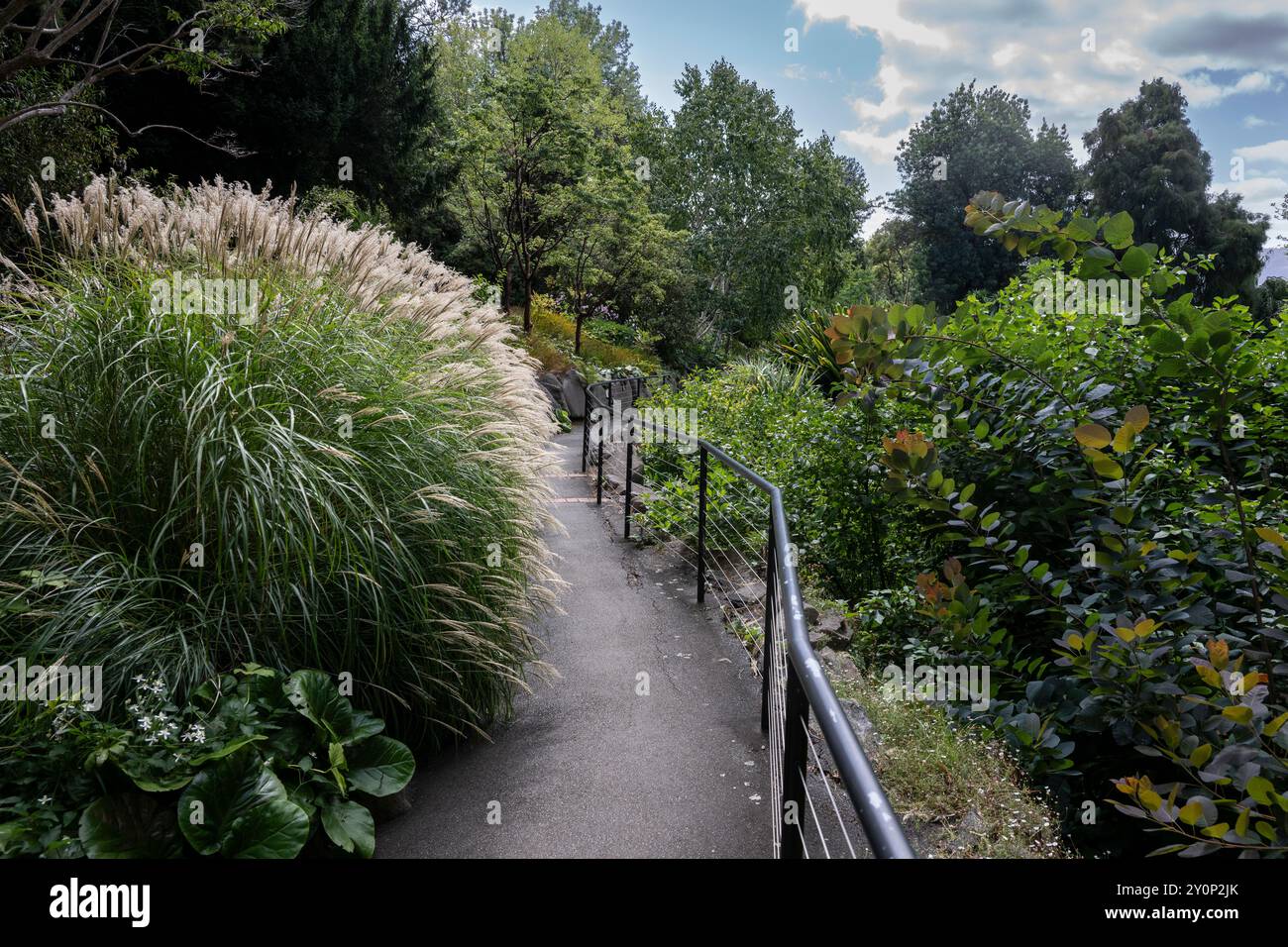 Scenic view of the Royal Tasmanian Botanical Gardens, Queens Domain ...