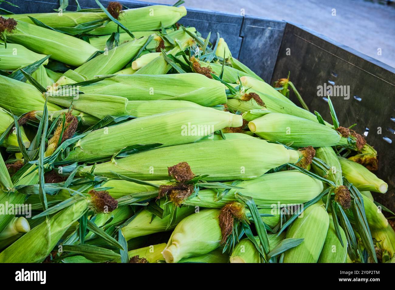Food market aerial perspective hi-res stock photography and images - Alamy