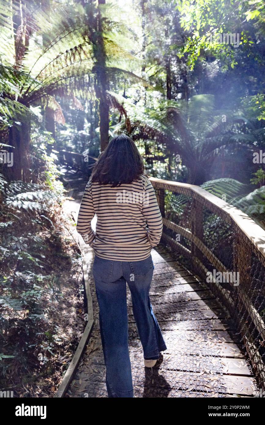 Back view of a female tourist walking along a boardwalk in the forest ...