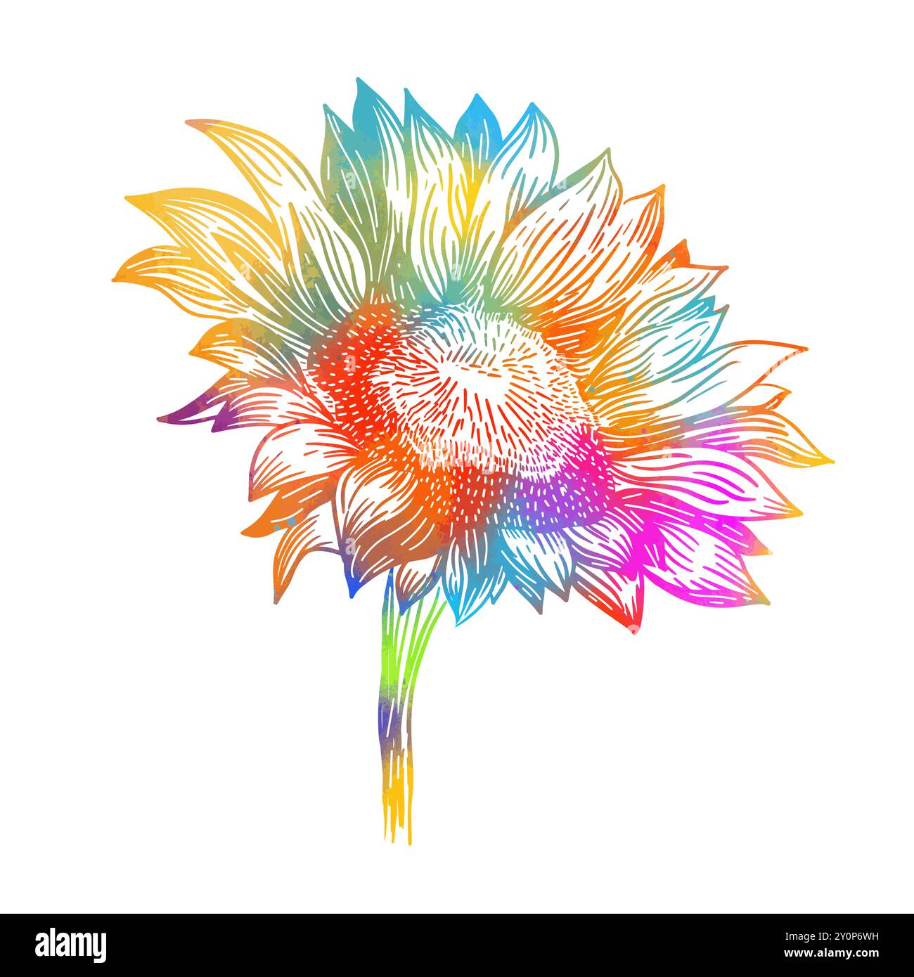 One colored sunflower on a white background. hand drawing. Not AI ...