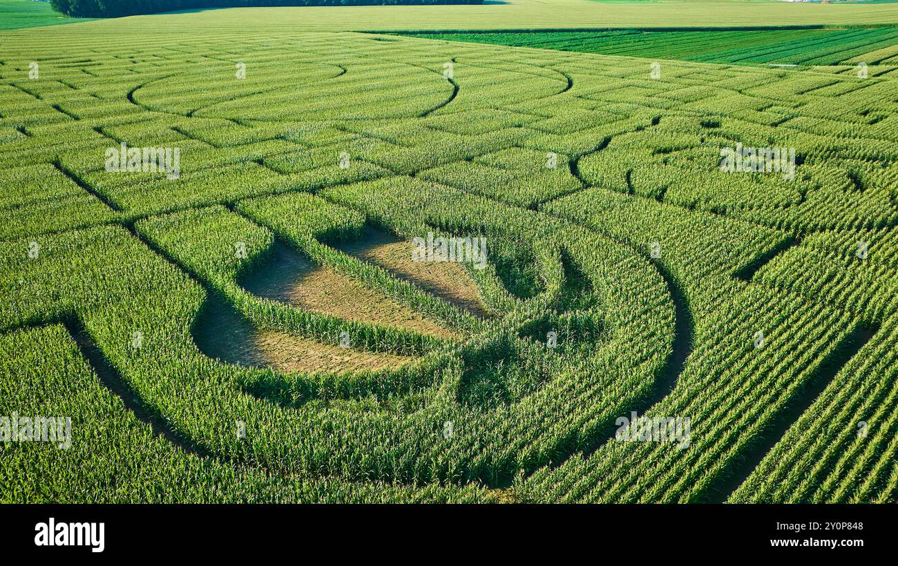 Aerial View of Intricate Corn Maze in Lush Green Farmland Stock Photo ...