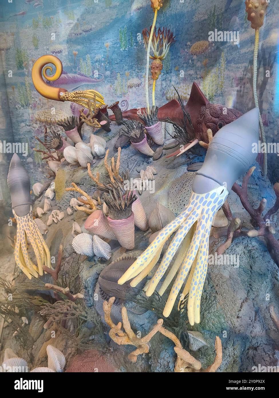 Prehistoric Cephalopods in Vibrant Marine Diorama Eye-Level View Stock ...