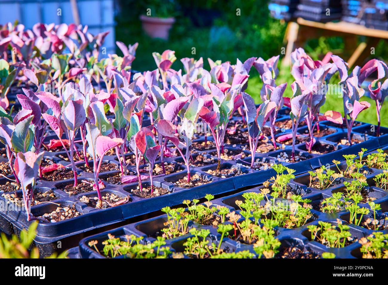 Detailed eye level view hi-res stock photography and images - Alamy