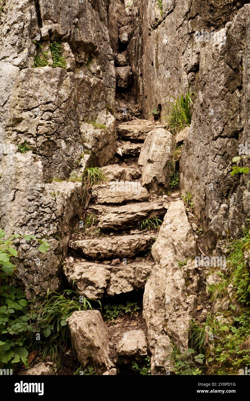 Fairy steps hi-res stock photography and images - Alamy
