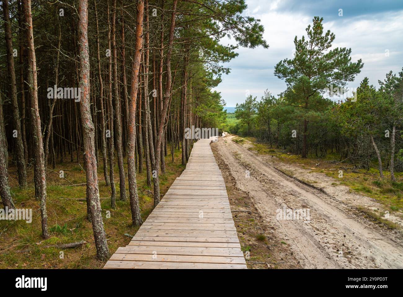 Trail to observation deck on Olenya Buda dunes with views of Swan Lake ...
