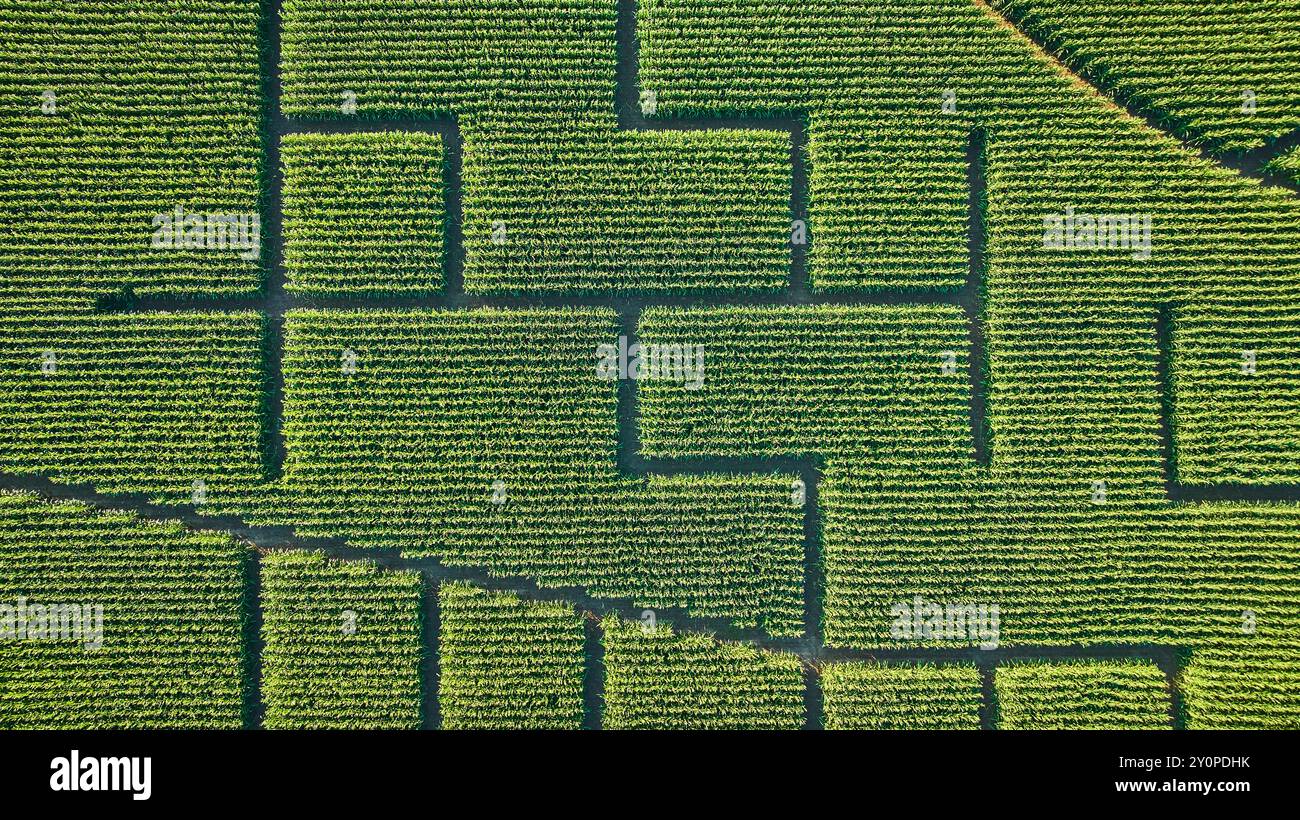 Rectangular maze hi-res stock photography and images - Alamy