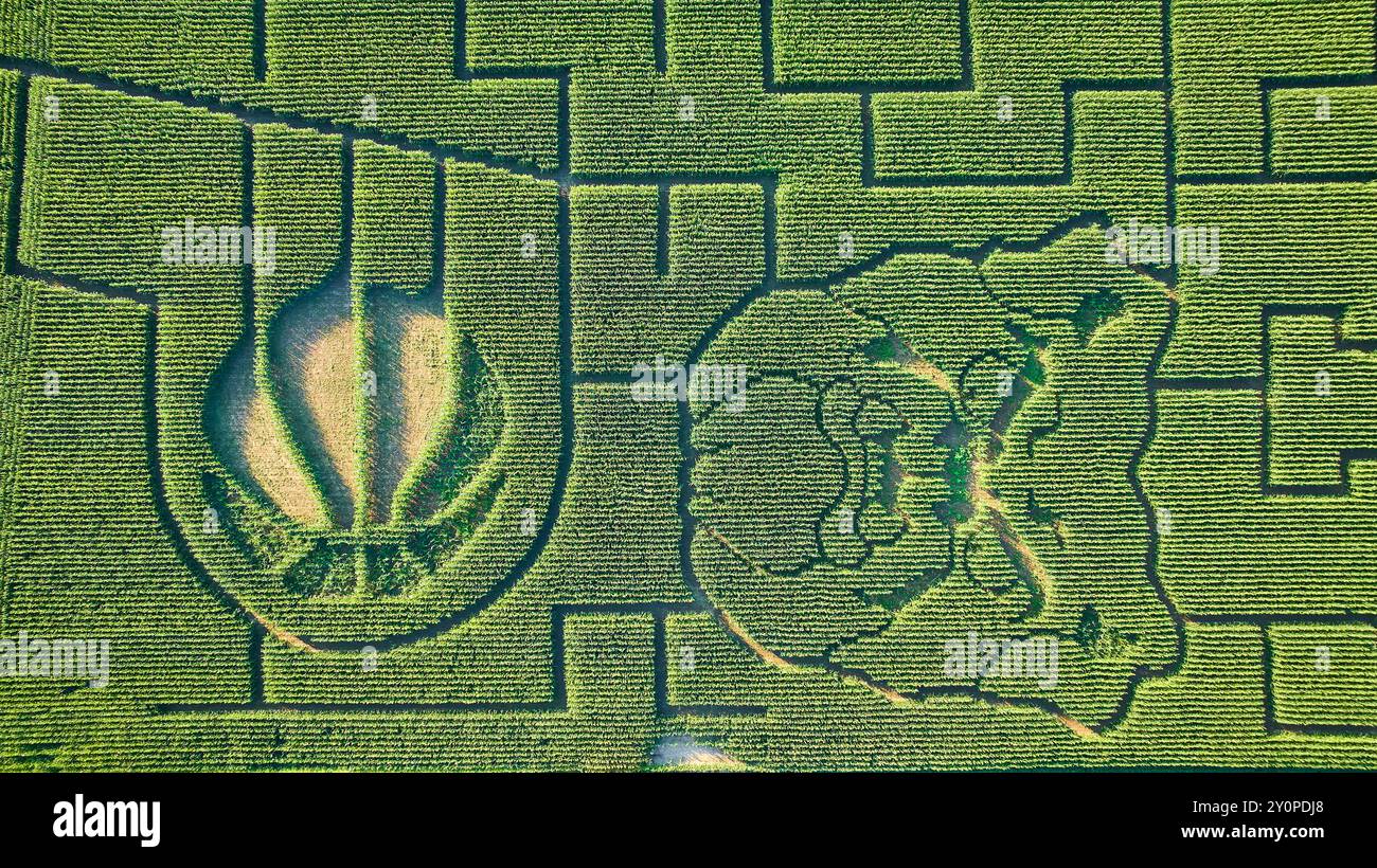 Aerial View of Corn Maze with Hot Air Balloon and Human Face Designs ...