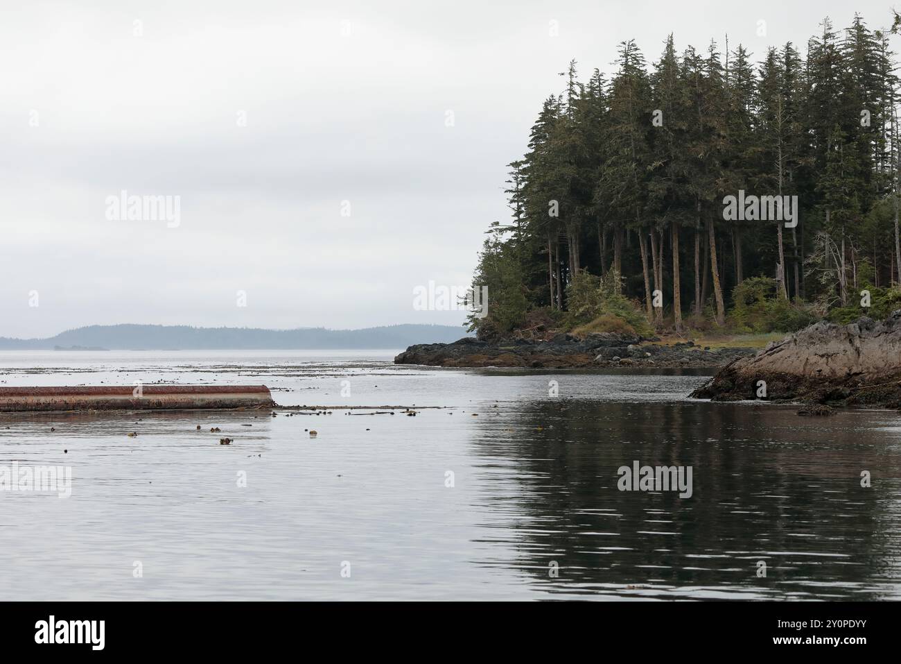 View out to sea from Alder Bay with breakwater, rocks and trees Stock ...