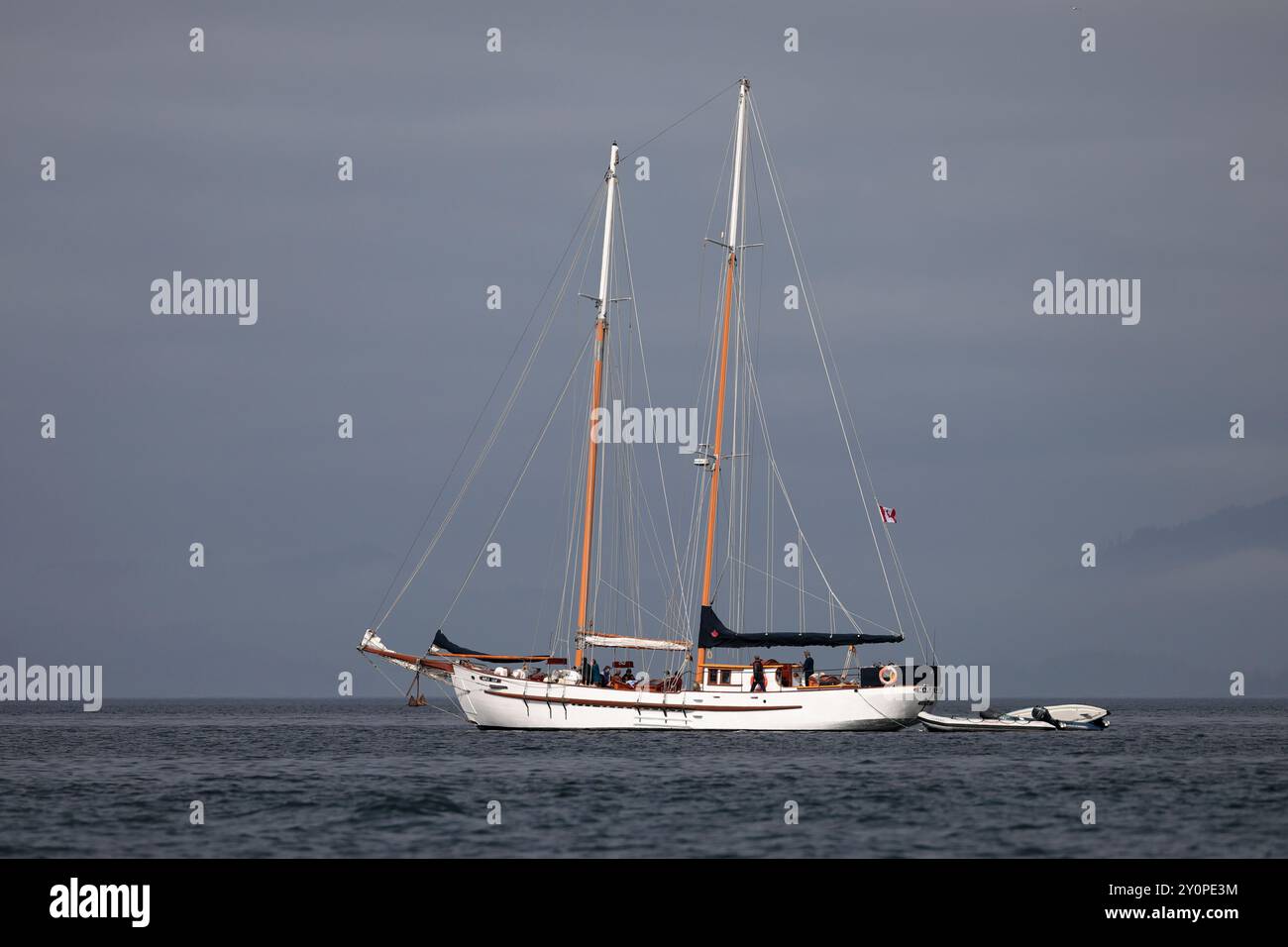 A white two masted sailing yacht, sails furled, towing a tender on the ...
