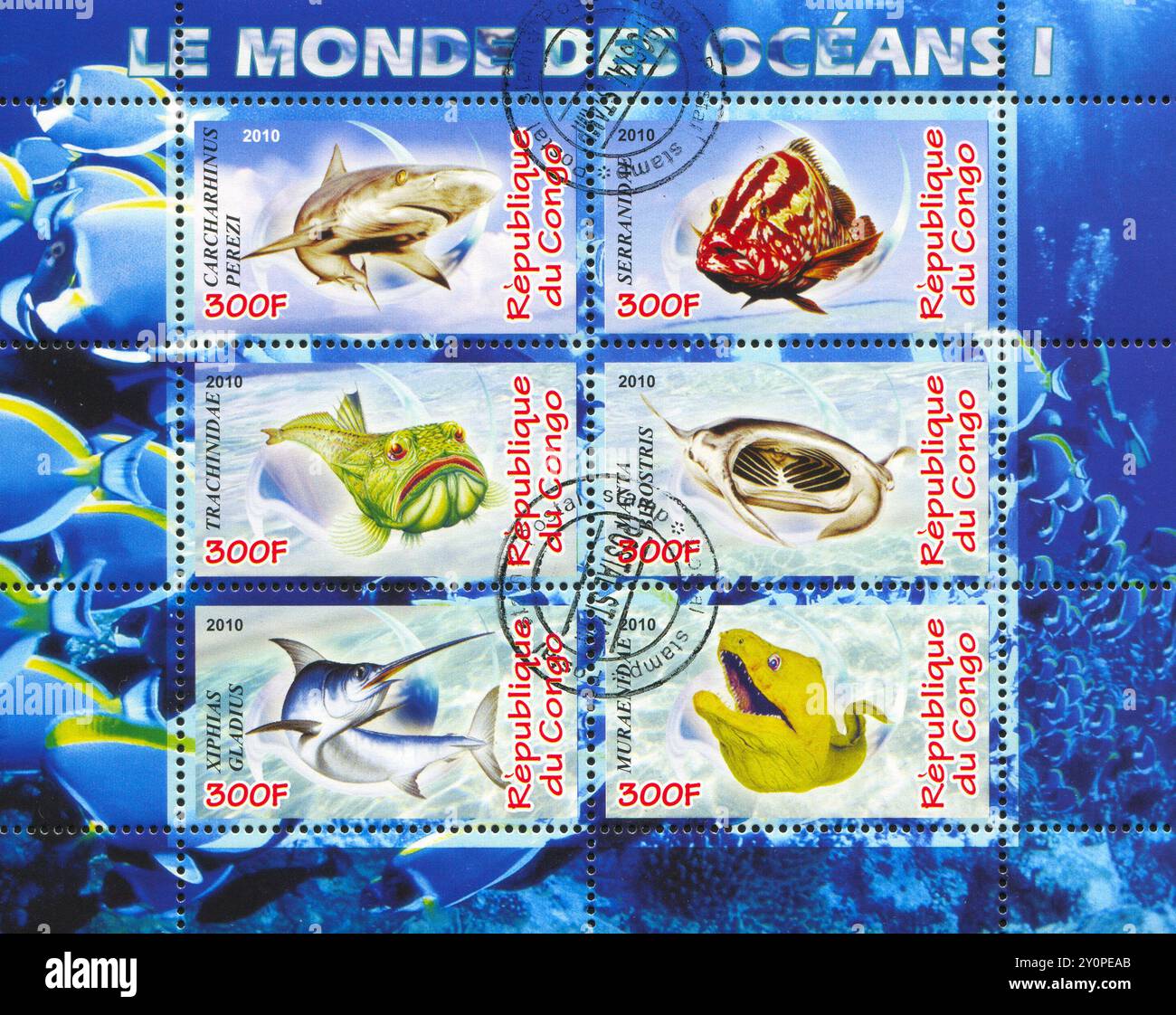 CONGO - CIRCA 2010: stamp printed by Congo, shows underwater, circa ...