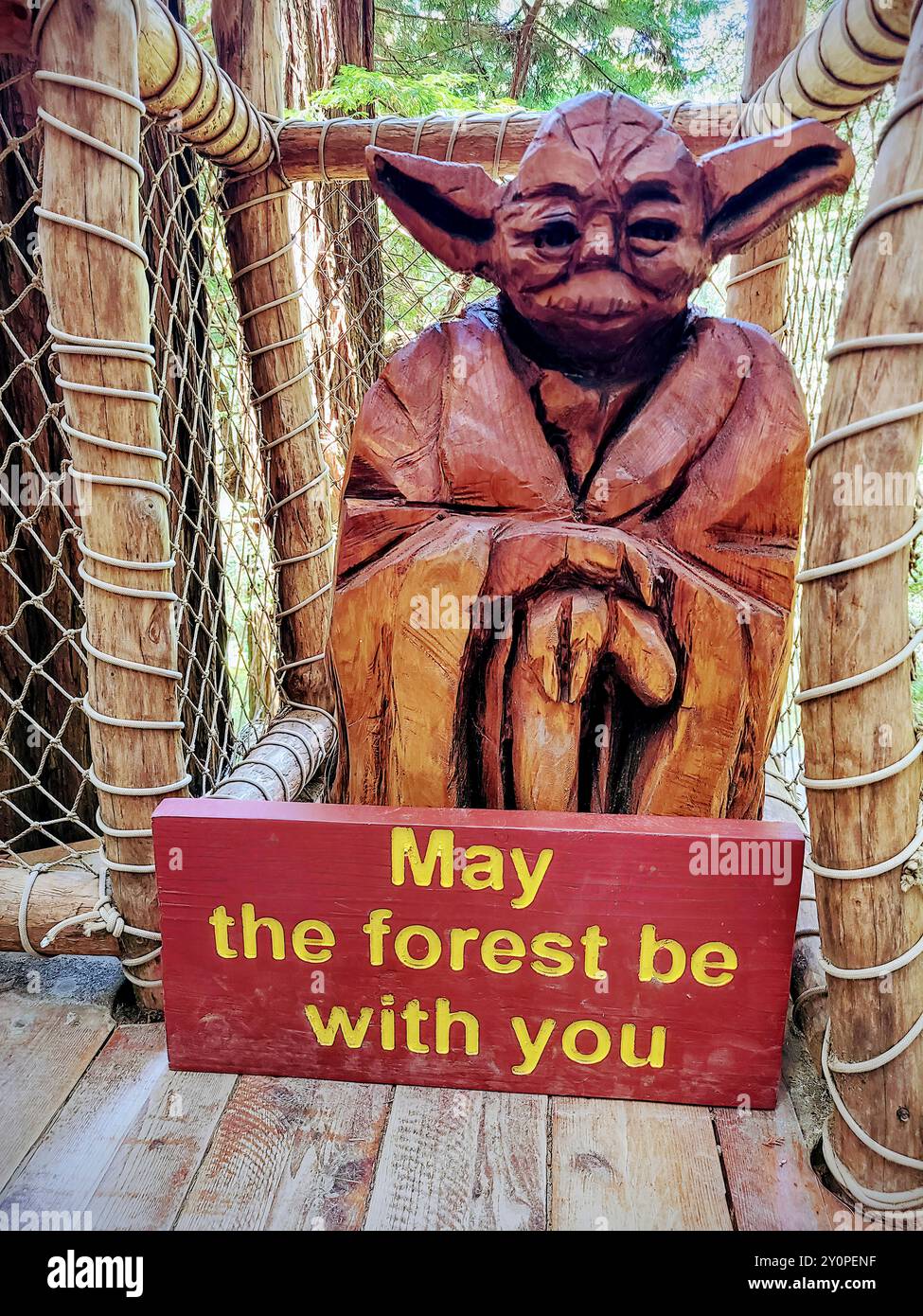 Wooden Yoda Sculpture in Forest with Inspirational Sign Eye Level View ...