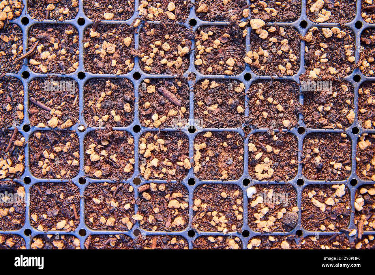 Seedling Tray with Well-Nourished Soil Overhead View Stock Photo - Alamy