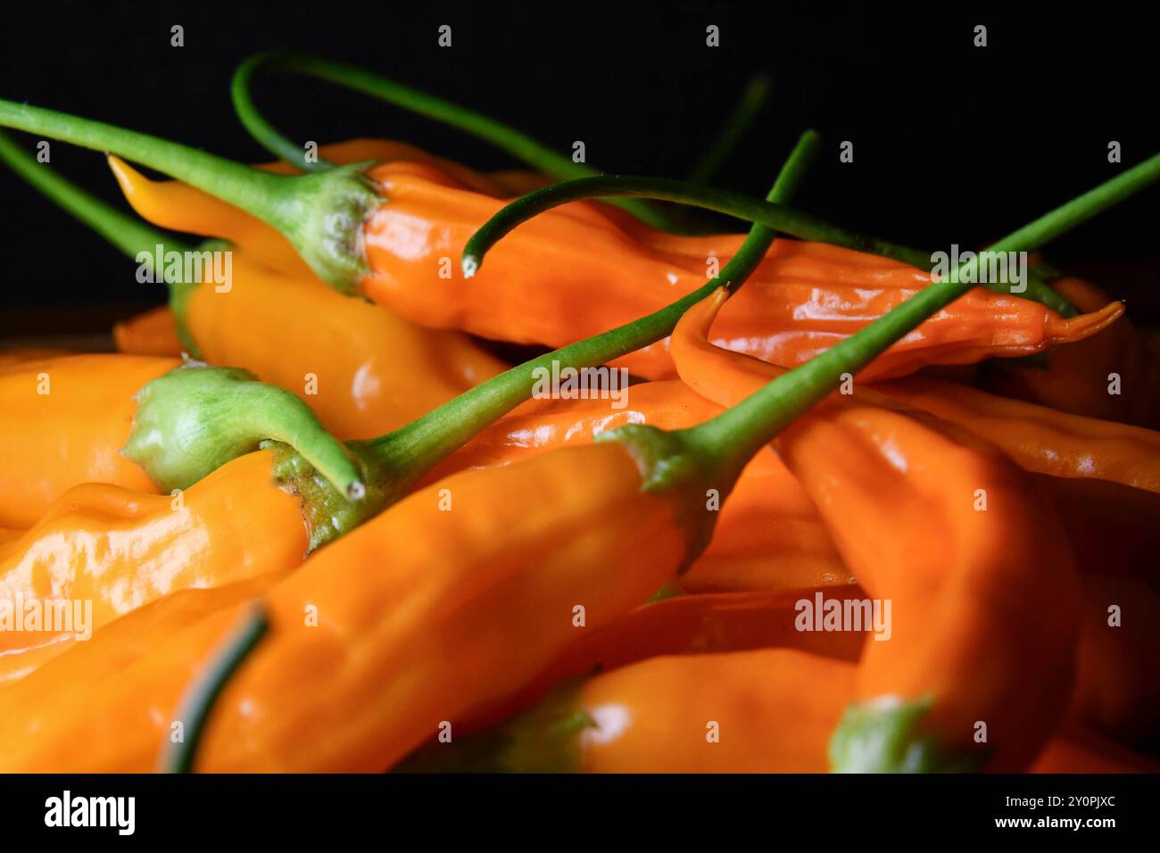 red and yellow chillies Stock Photo - Alamy