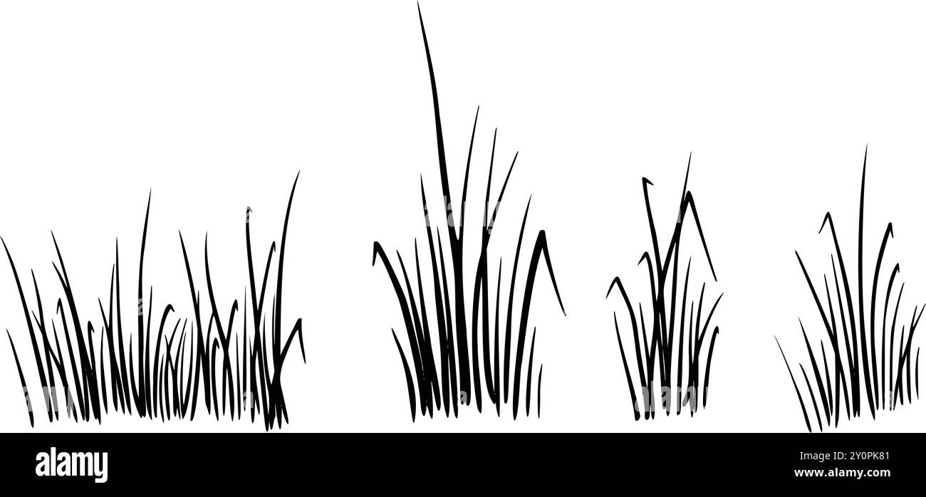 Vector Grass silhouettes. Drawing of lawn painted by black inks on ...