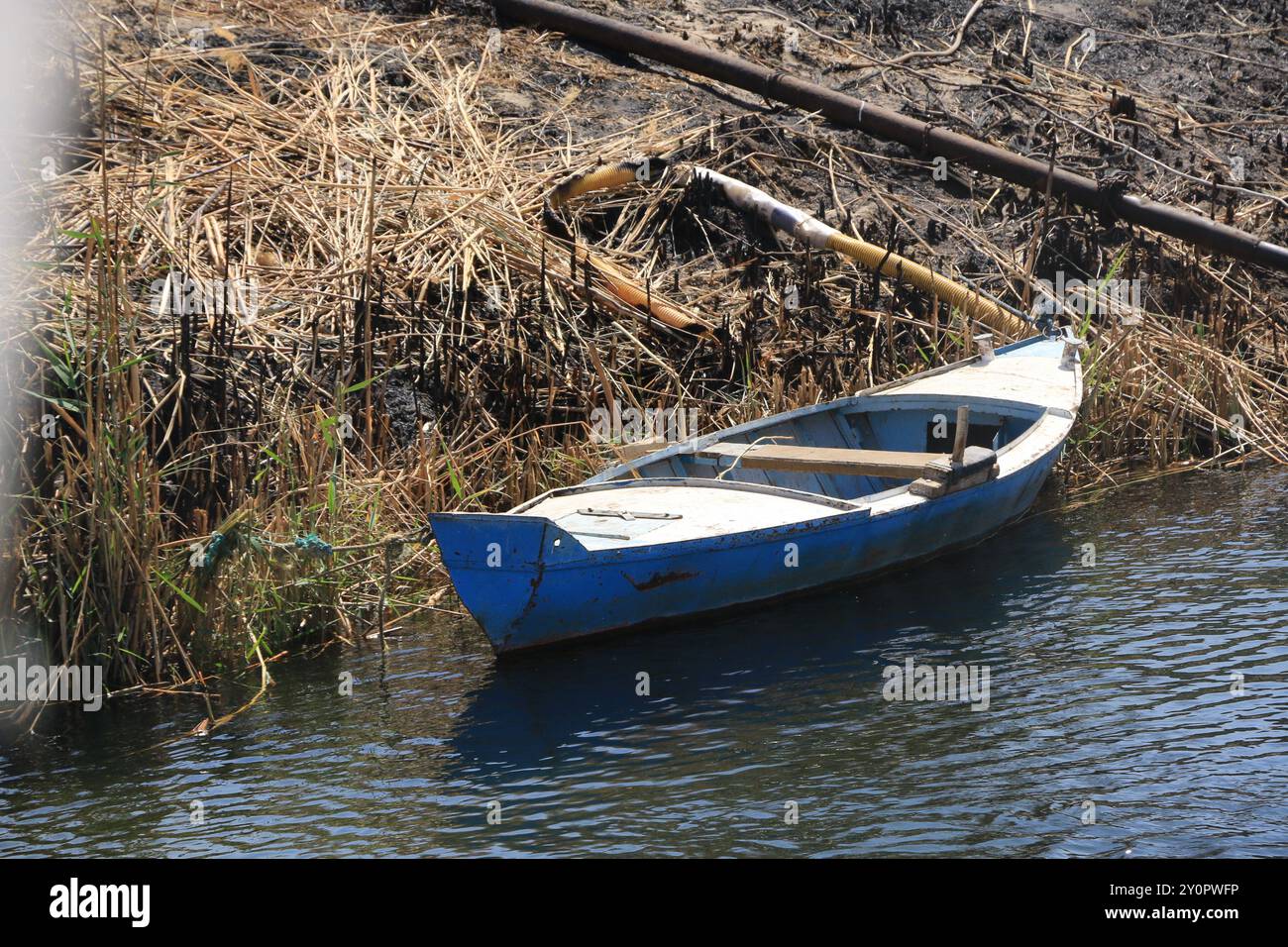 A boad in the Nile and nature in Egypt Stock Photo - Alamy