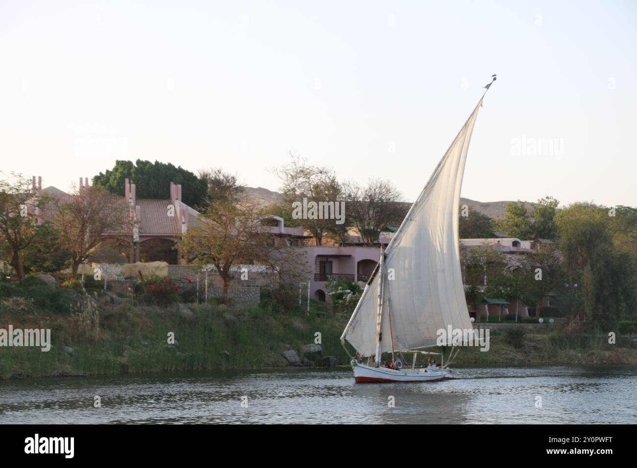 A boad in the Nile and nature in Egypt Stock Photo - Alamy