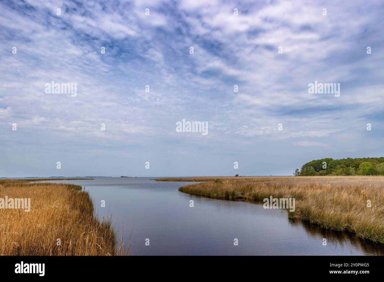 Wetlands in Currituck Banks National Estuarine Preserve in Corolla ...
